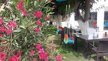Jardim