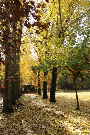 Jardim