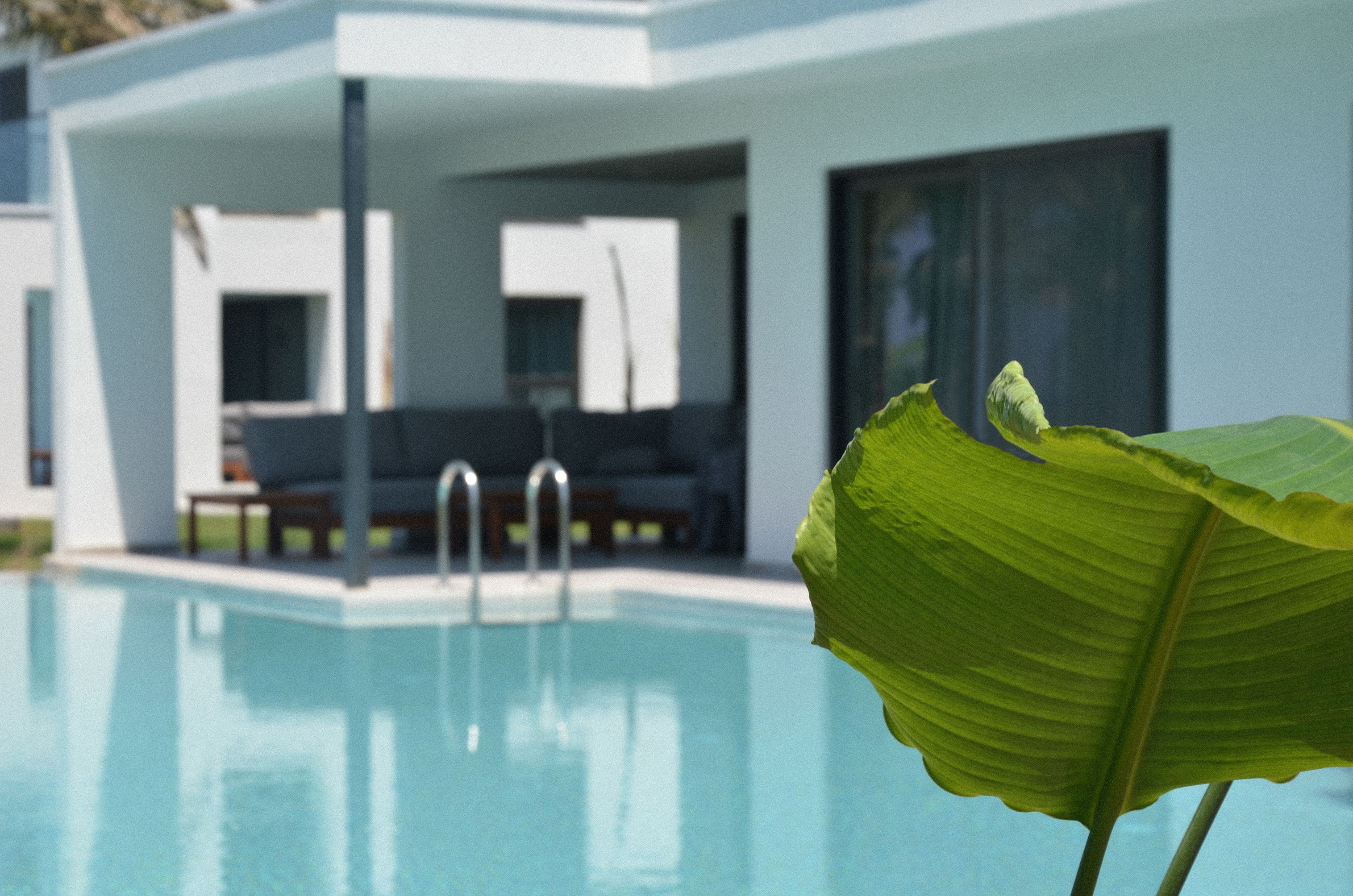 Uma área de piscina moderna com água cristalina, uma espreguiçadeira e uma folha verde grande em primeiro plano.