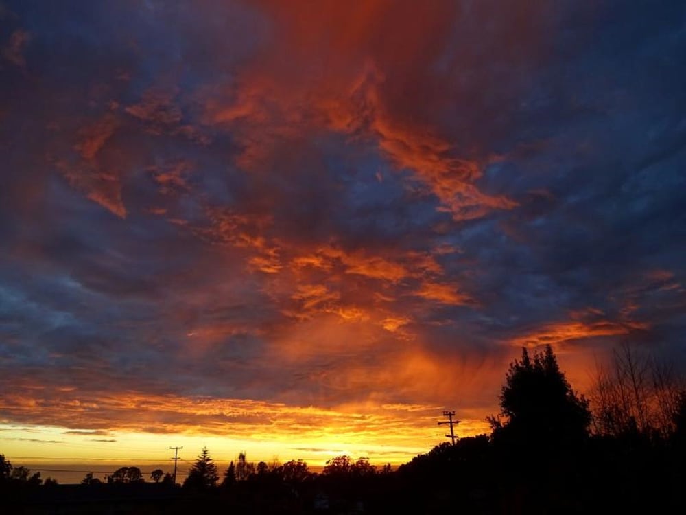 Ocean View - Hillside Sanctuary With Therapeutic Swim Spa - Watsonville, CA