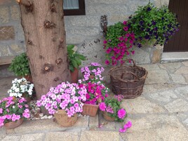 Terrenos do alojamento