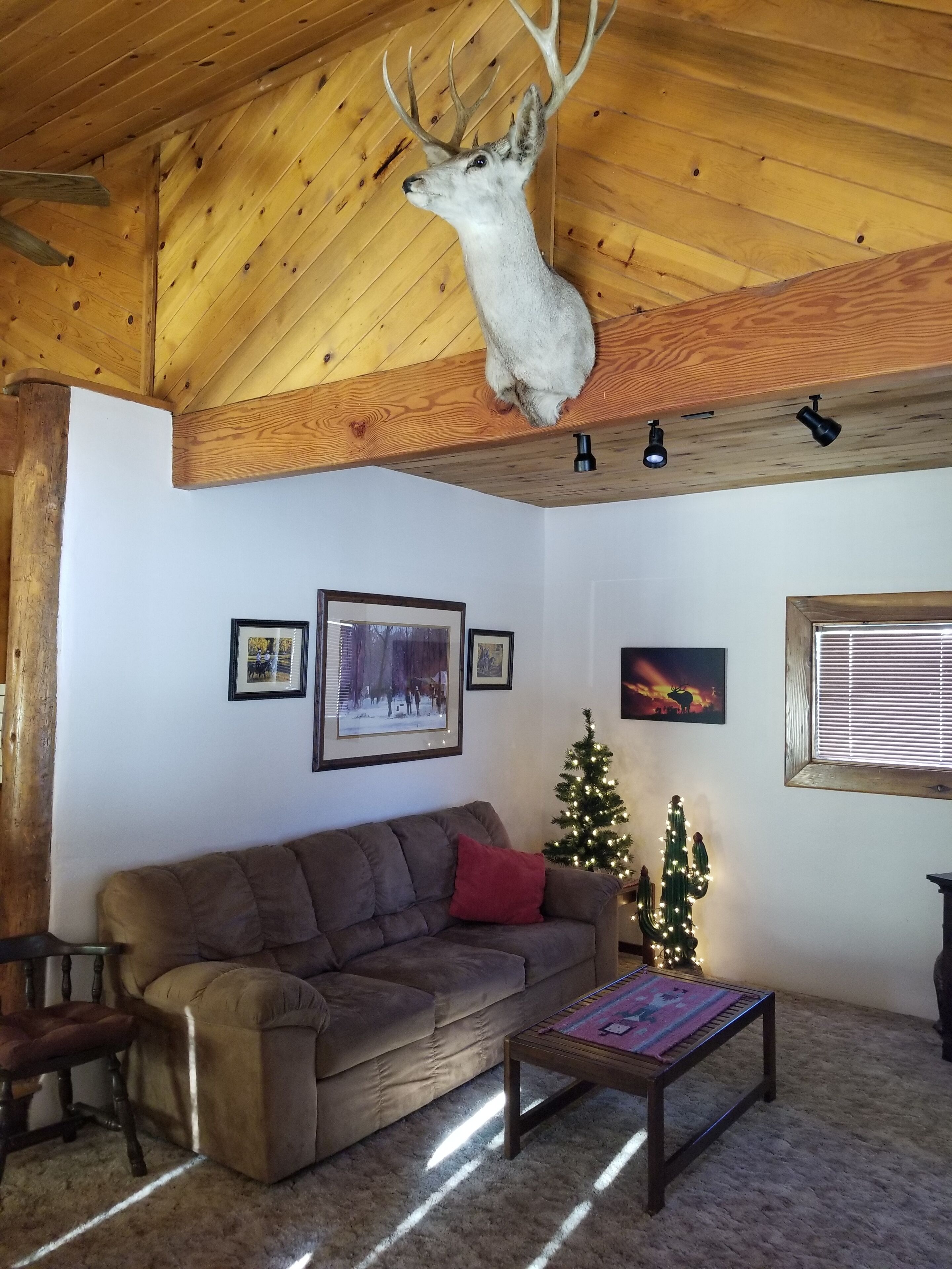 Lodge à Quatre Pieds Niché Dans Les Monts Sangre De Cristo / Ski / Randonnée / Pêche / Chasse - Nouveau-Mexique