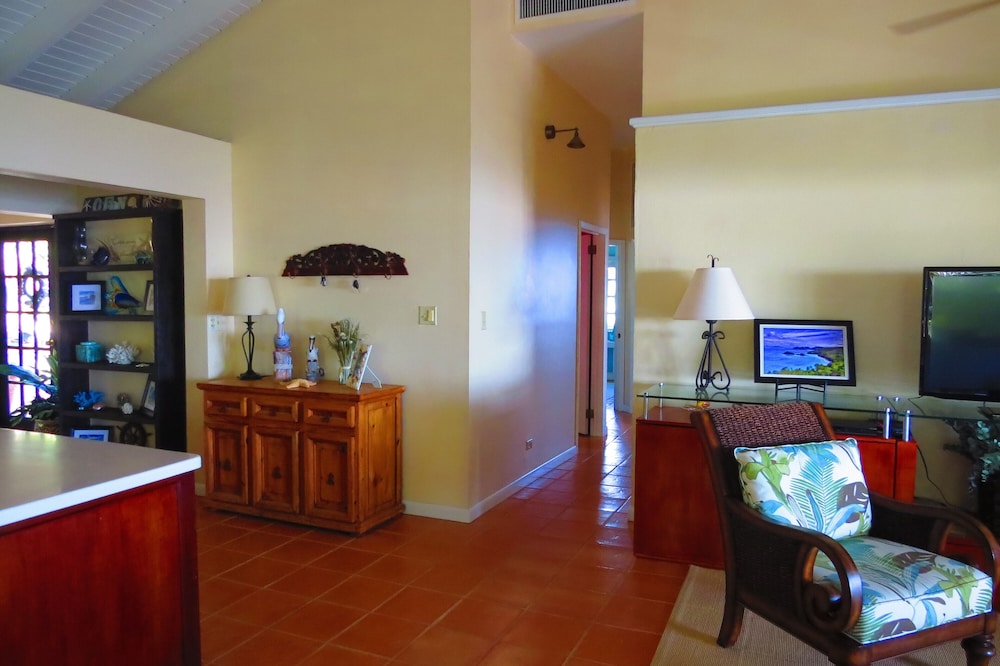 Ocean View Villa & Cottage Located 5 Minutes From Megans Bay With Cocktail Pool - 세인트토머스 섬