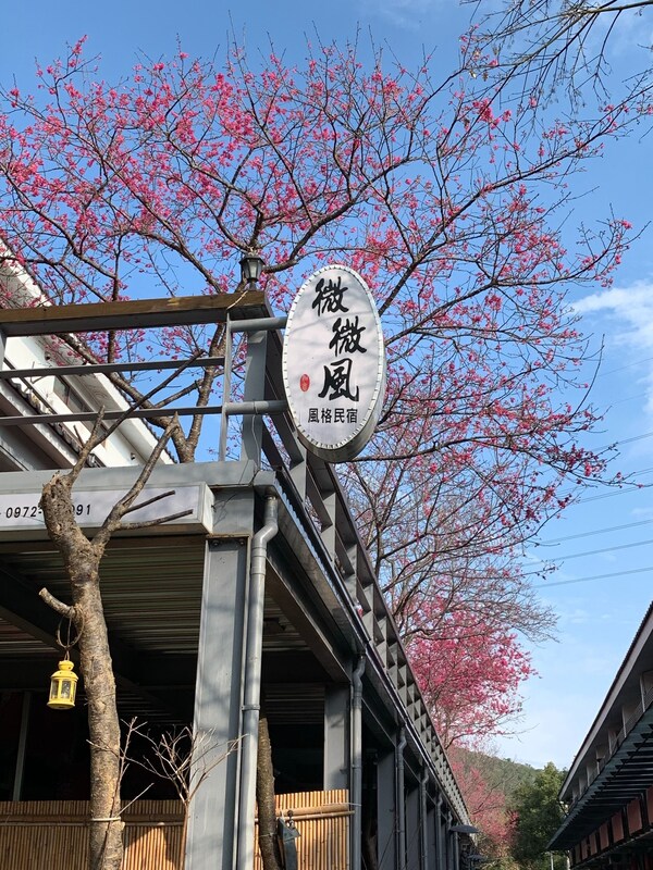 微微风民宿 - 通霄鎮