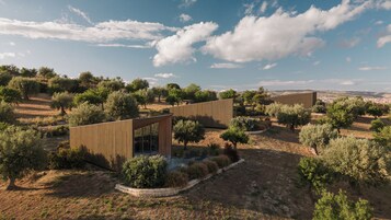 Área da propriedade