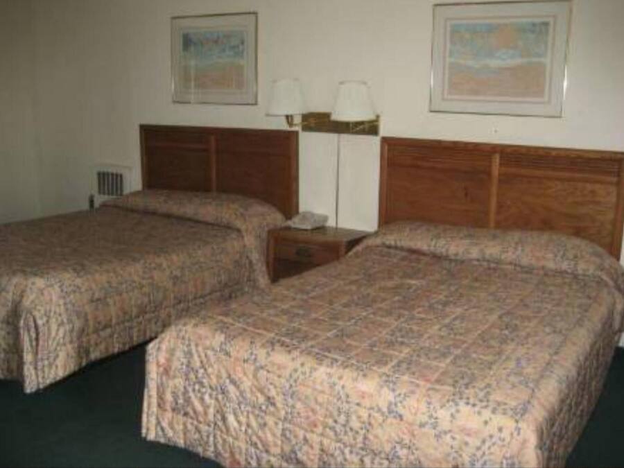 Quarto de hotel com duas camas de solteiro, uma mesa de cabeceira com abajur e dois quadros na parede.