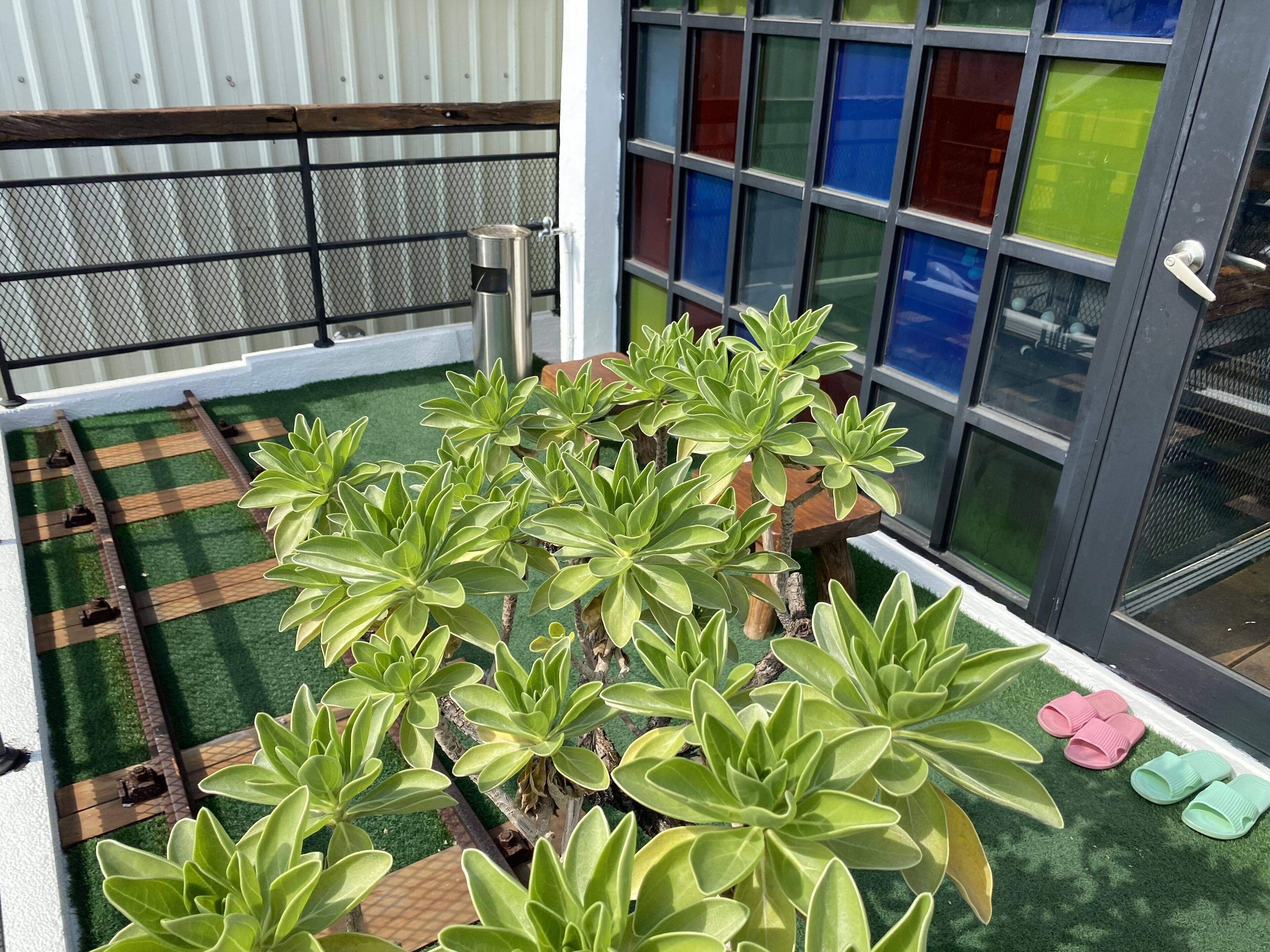 Loft Signature, várias camas, não fumadores | Terraço/pátio interior