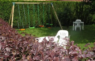 Um jardim com balanço, cadeira de plástico branca e plantas de folhas roxas.