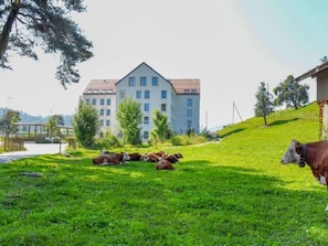 Vista para o jardim