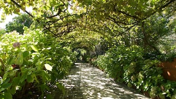 Jardim