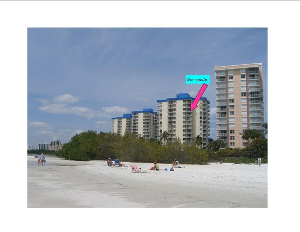 Best view on the beach with DIRECT Gulf views - 1004C - Totally ...