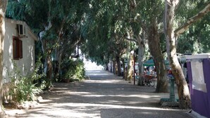 Rua arborizada com um edifício à esquerda e uma área coberta à direita.
