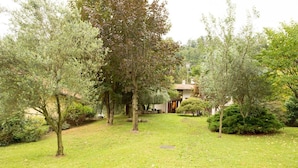 Um jardim com diversas árvores e arbustos, um caminho de pedra e um edifício ao fundo.