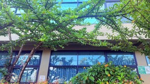 Um edifício com grandes janelas, uma árvore na frente e um aviso indicando que é permitido fumar nesta área.