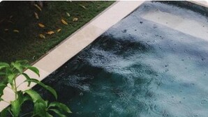 Uma pessoa nadando em uma piscina retangular com borda azulejada, rodeada por vegetação.
