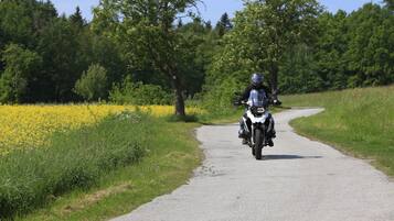 Um motociclista andando em uma estrada pavimentada, cercado por vegetação e flores amarelas.