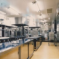 Cozinha comercial com eletrodomésticos de aço inoxidável, um balcão longo e iluminação pendente.