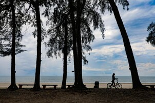 Uma praia com árvores altas, uma pessoa andando de bicicleta e um banco na orla.
