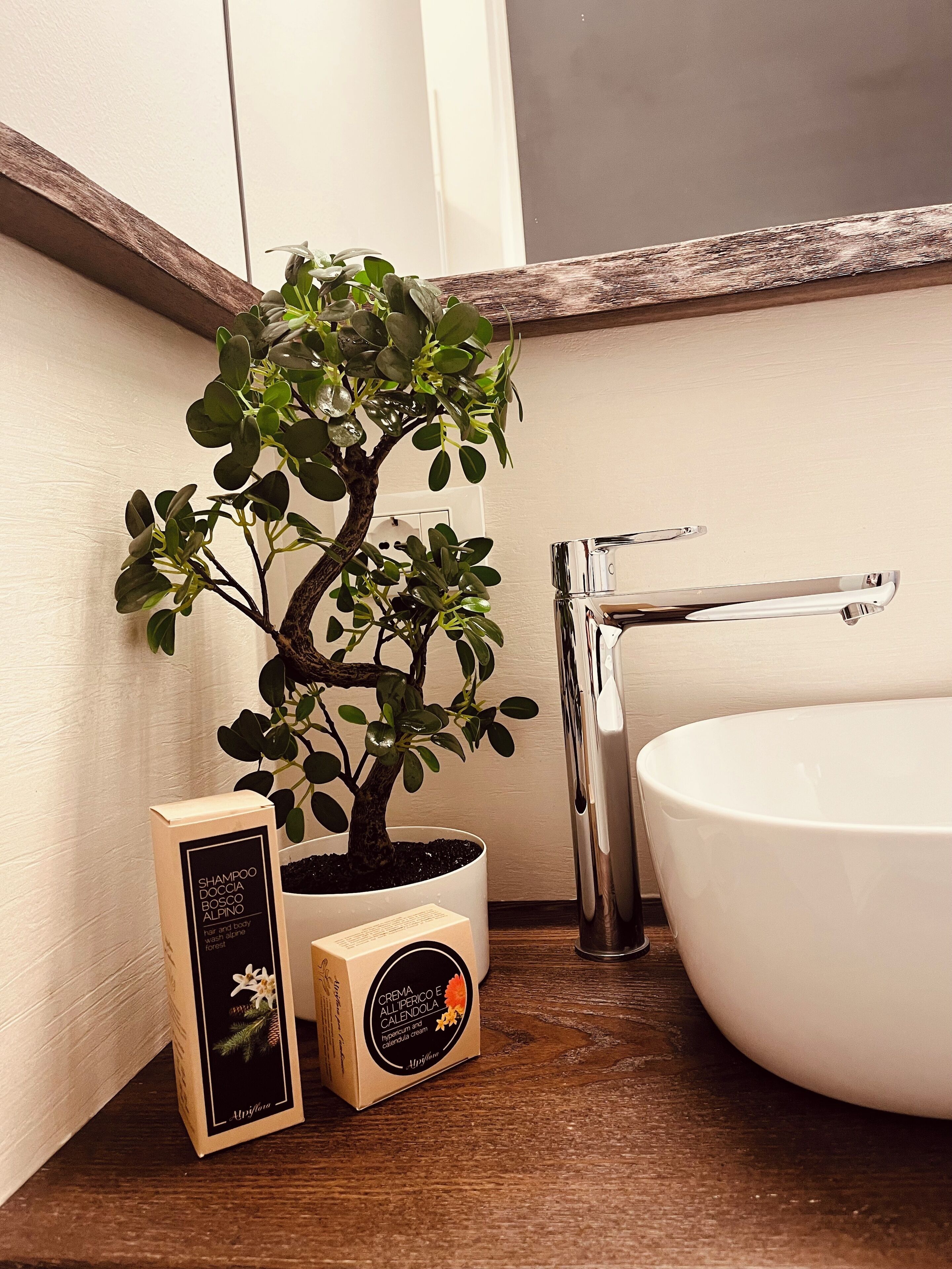 Casa de banho com uma planta em vaso, uma garrafa de champô e uma garrafa de creme.