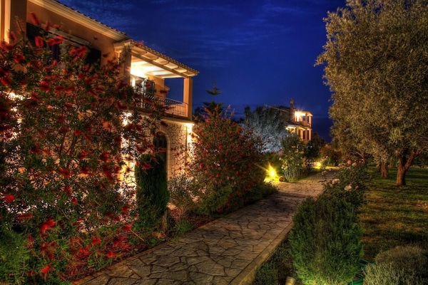 Estúdio Superior (3 Adults) | Vista do quarto