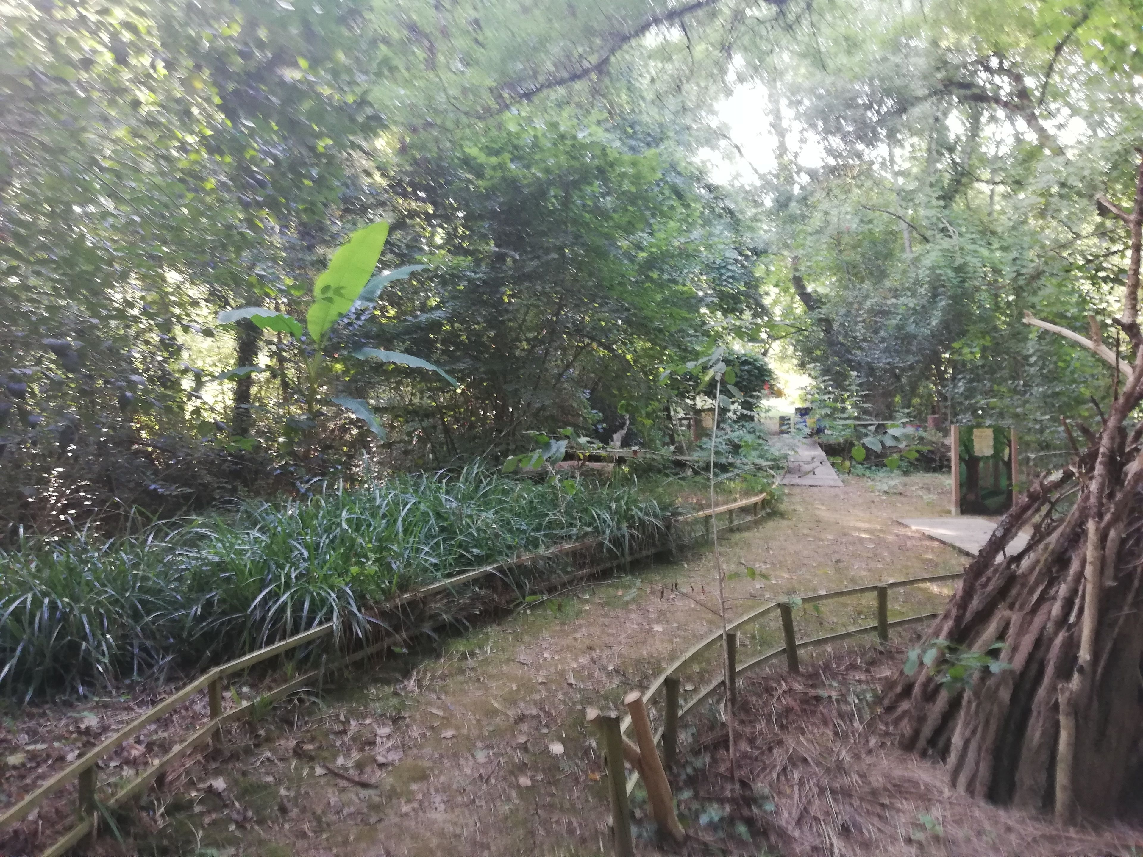 Uma trilha arborizada com cerca de madeira e uma pequena ponte.