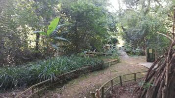 Uma trilha arborizada com cerca de madeira e uma pequena ponte.