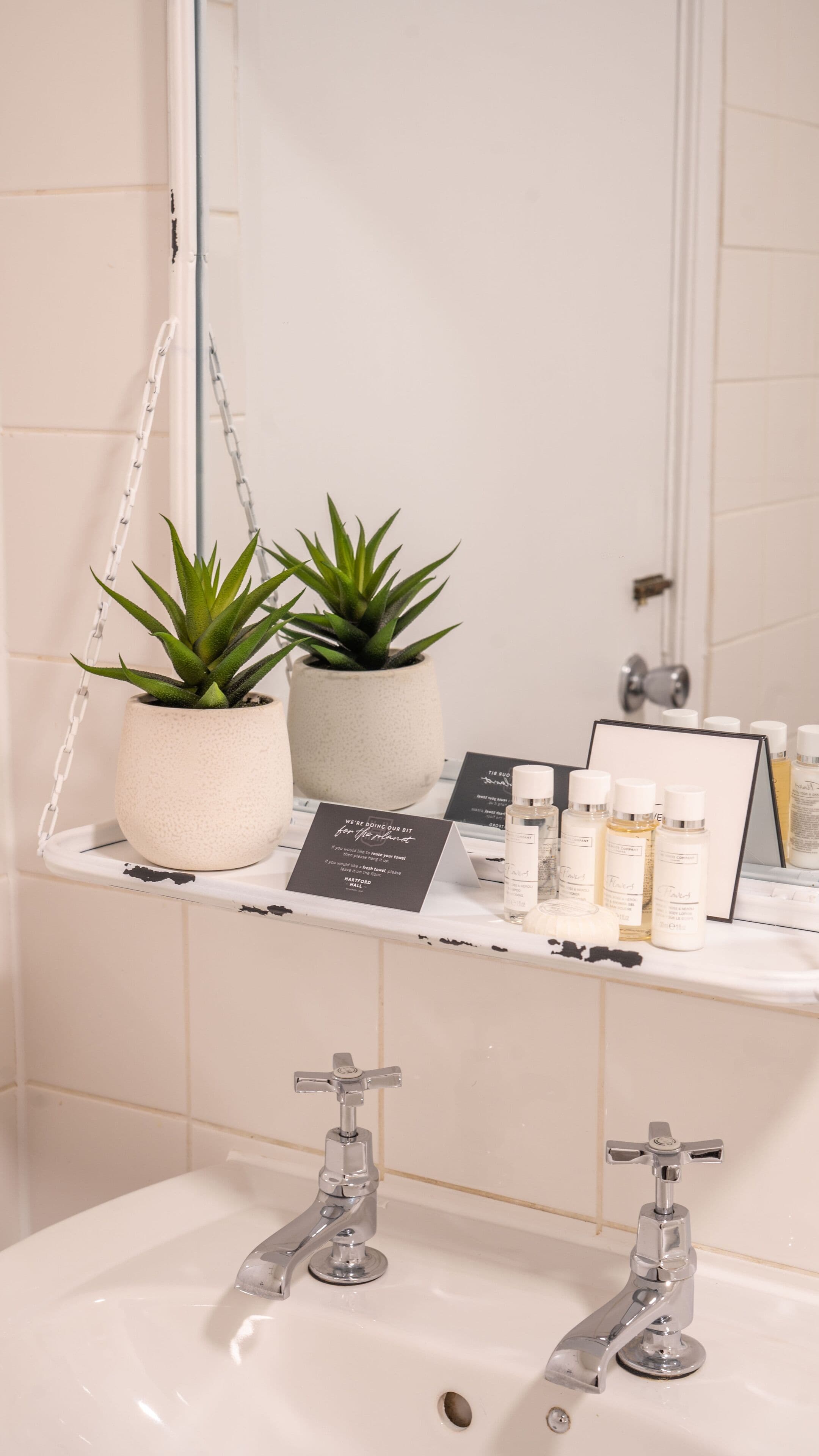 Casa de banho com duas pias, um espelho e uma estante com plantas e artigos de higiene pessoal.