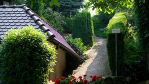Uma casa japonesa tradicional com telhado de telhas, rodeada por vegetação exuberante e um caminho de cascalho.