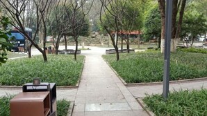 Um caminho ladeado por vegetação e bancos, que leva a uma construção distante.