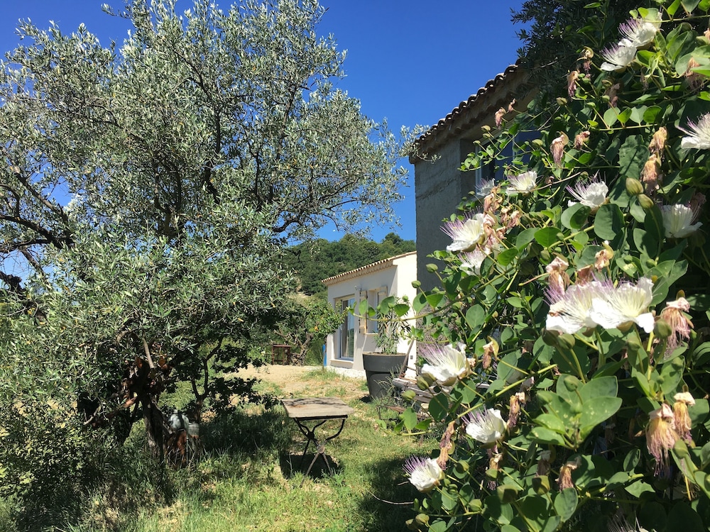 Gîte à 10 Mn De Vaison La Romaine - Mont Ventoux