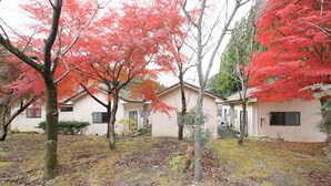 Um bairro residencial com casas, árvores de folhas avermelhadas e um gramado.