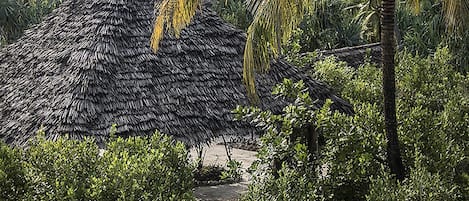 Uma trilha conduz a cabanas com telhado de palha, rodeadas por vegetação densa e palmeiras.