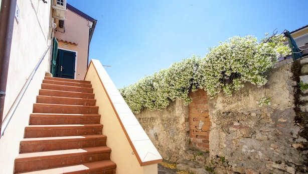 Uma escadaria de pedra estreita que leva a um edifício com uma porta verde, uma parede de tijolos coberta por plantas trepadeiras e um céu azul límpido.