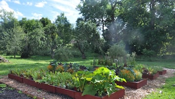 Jardim