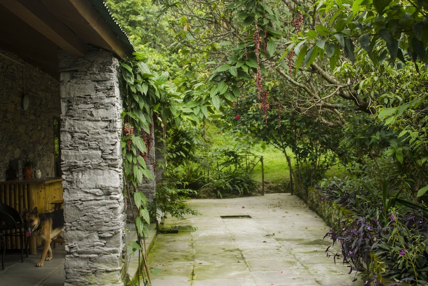 Wildlife, Nature & Peace Off The Beaten Track - Your Private Wilderness - Uttarakhand