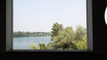 Vista pela janela de um lago rodeado por árvores.