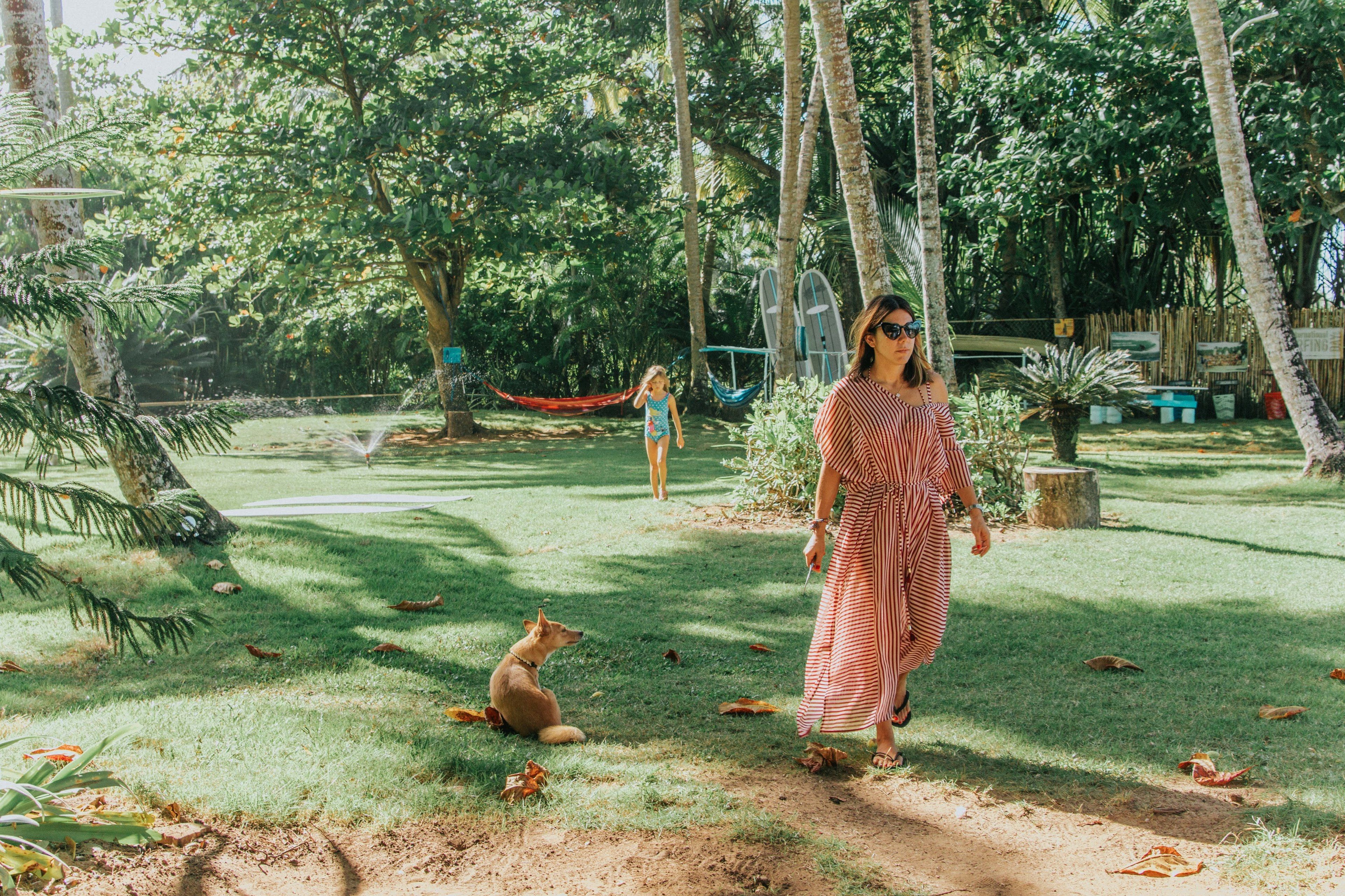 Jardim