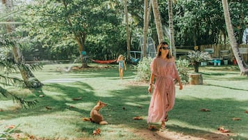 Jardim