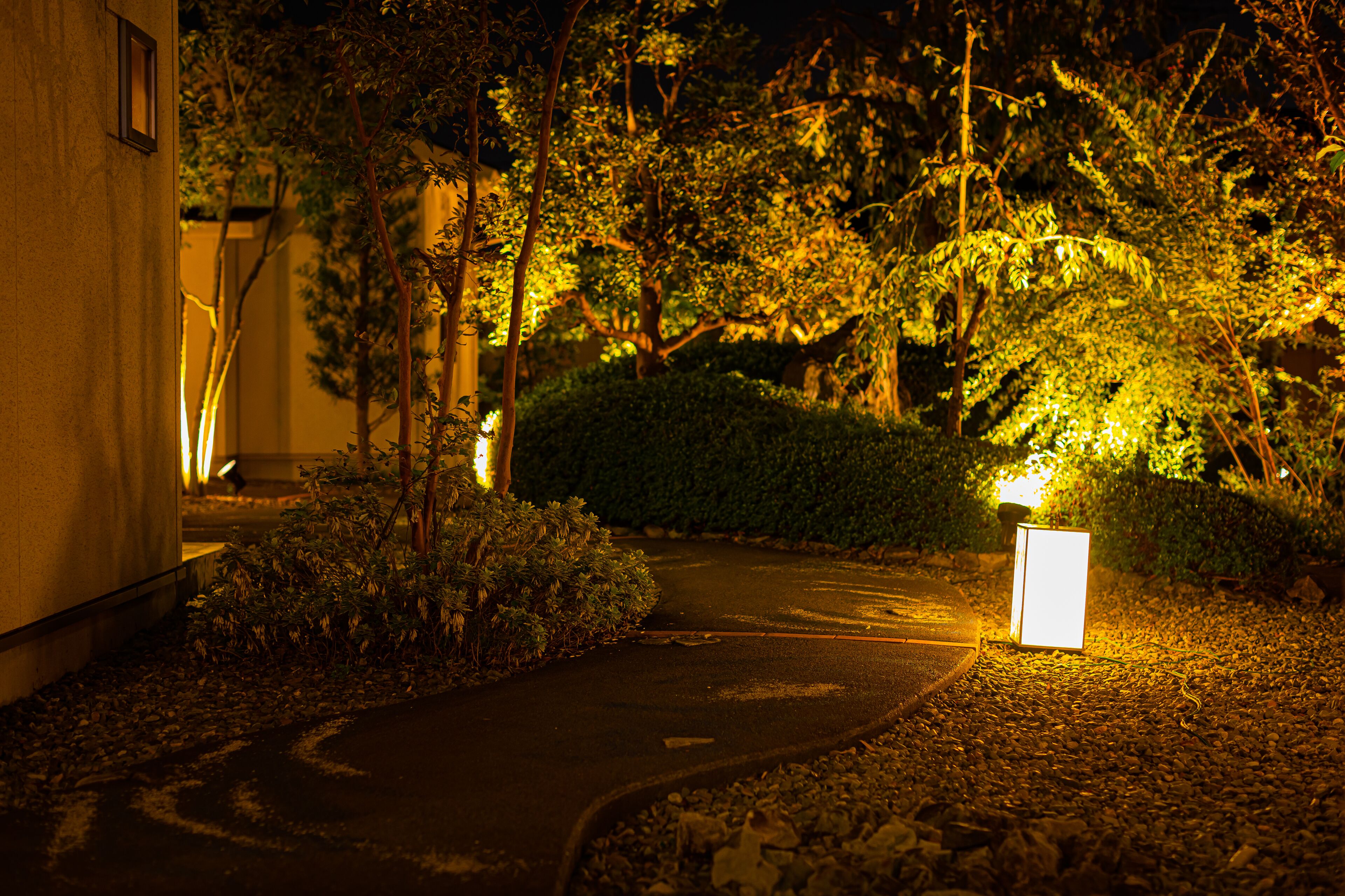 Uma trilha leva a um edifício com um letreiro iluminado, cercado por árvores e arbustos.