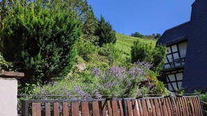 Cenário rural com cerca de madeira, vegetação exuberante e um edifício com telhado escuro.