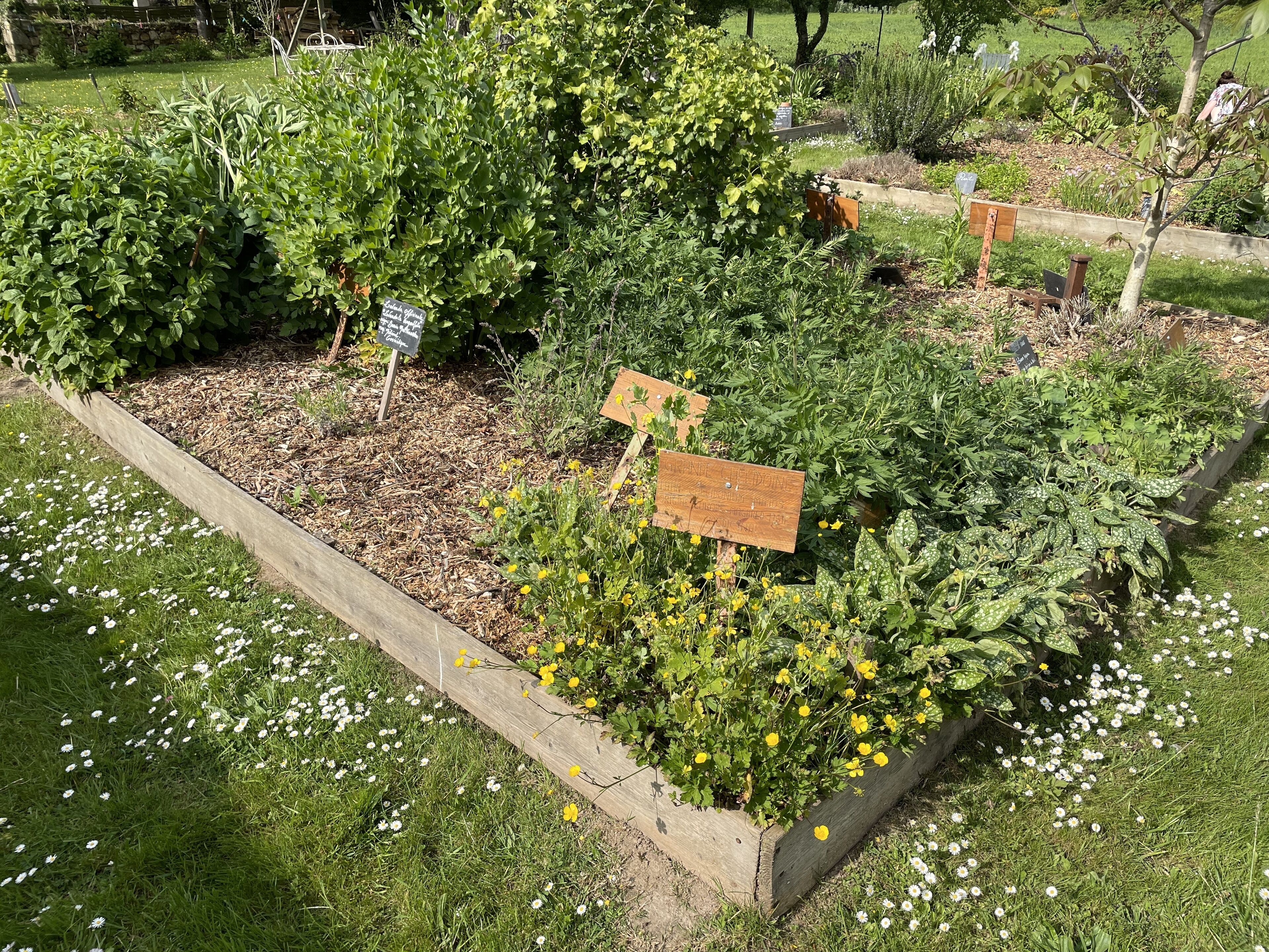 Um jardim com canteiros elevados, placas de madeira e diversas plantas.
