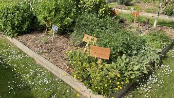 Um jardim com canteiros elevados, placas de madeira e diversas plantas.