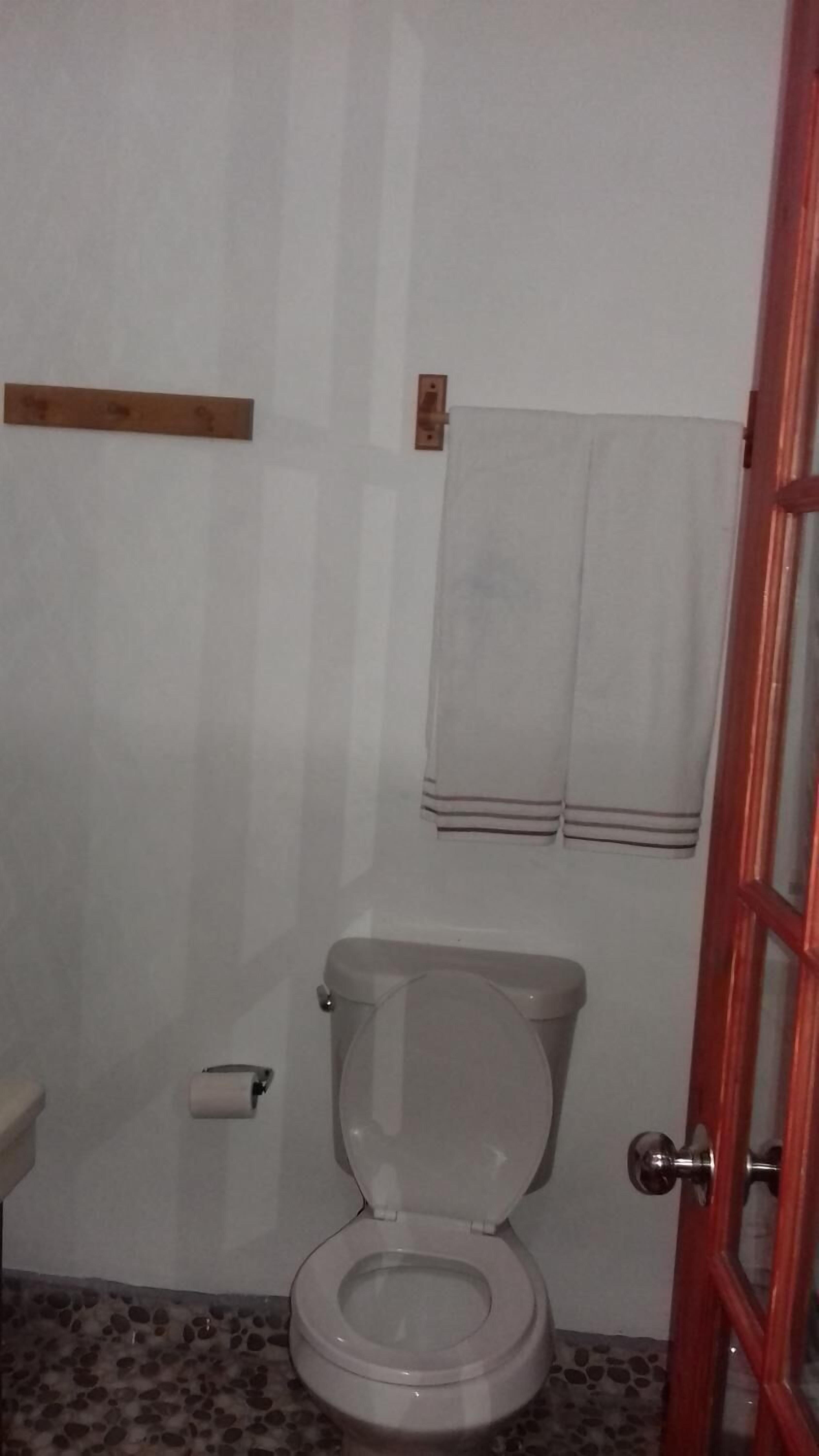 Um banheiro com vaso sanitário, um rolo de papel higiênico e uma toalha pendurada na parede.