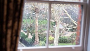 Janela com vista para árvores e um gramado.