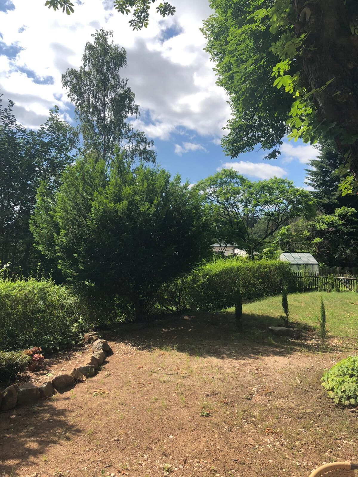 Um jardim com várias árvores e arbustos, uma trilha de terra e uma estufa ao fundo.