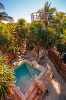 Piscina cercada por palmeiras e um deck de madeira.