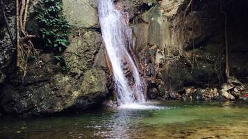 Uma cachoeira em área arborizada, com terreno rochoso e um riacho límpido na base.
