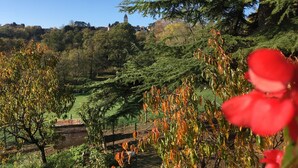 Um jardim exuberante com diversas árvores e uma vista distante de um edifício semelhante a um castelo.