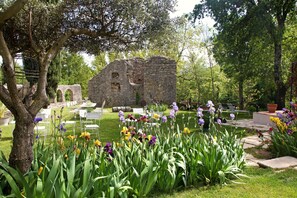 Jardim