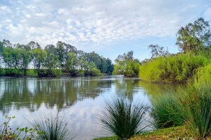 Um rio calmo com árvores e vegetação nas margens.